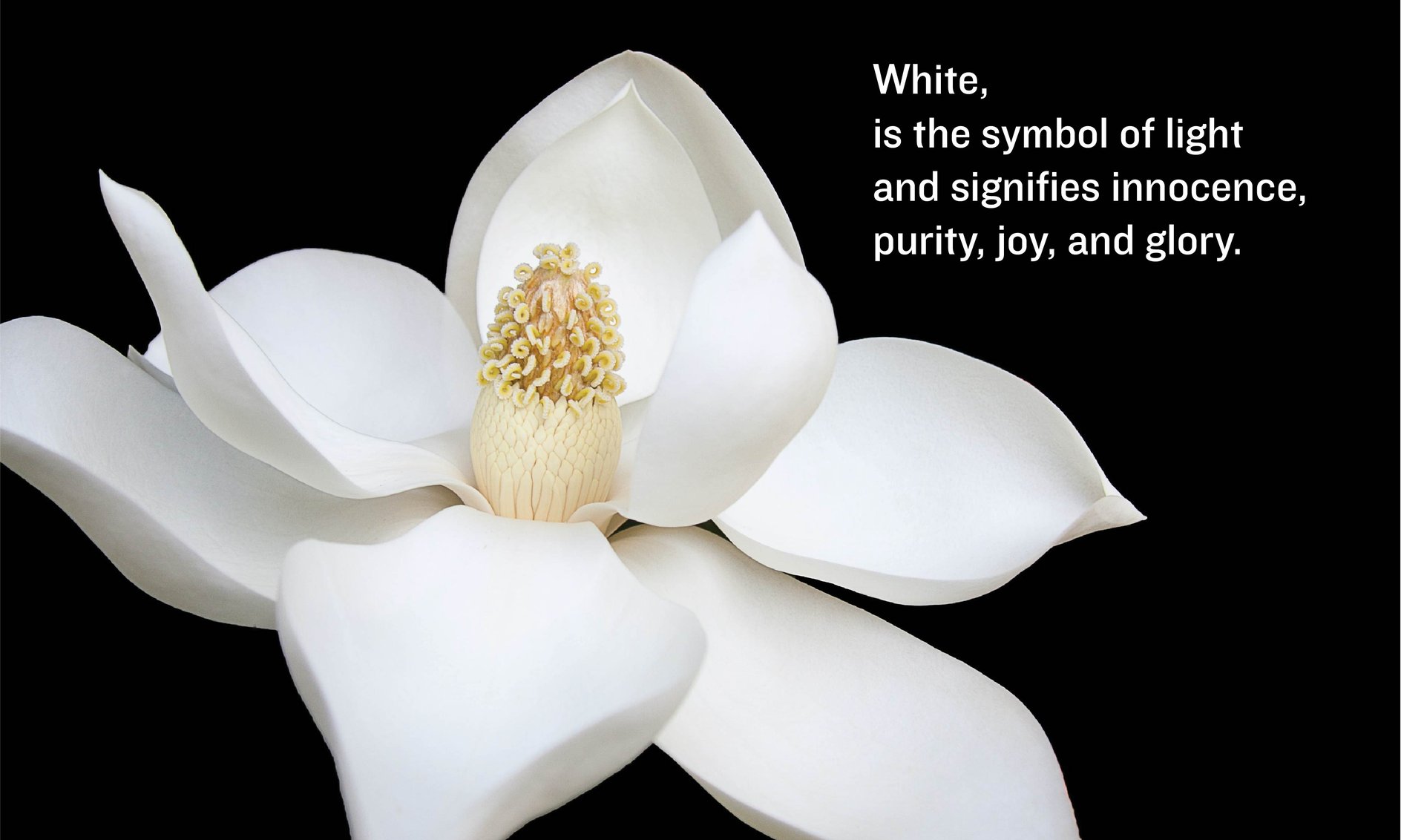 Color and Symbolism - Part 1