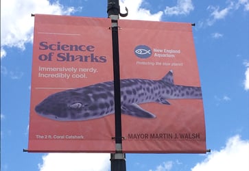 Banner Hardware | Accent Banner